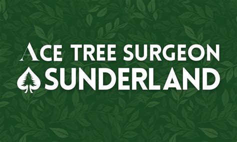 Ace Tree Surgeon Sunderland Adress By Ace Tree Surgeon Sunderland