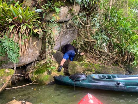 Otter Conservation Volunteer In Brazil 2026