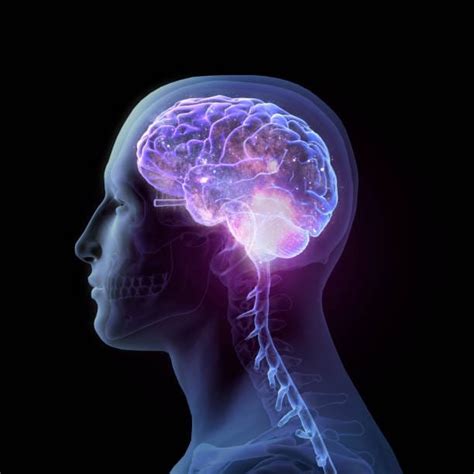 Study Uses Ai To Decode Racial Bias In Facial Recognition