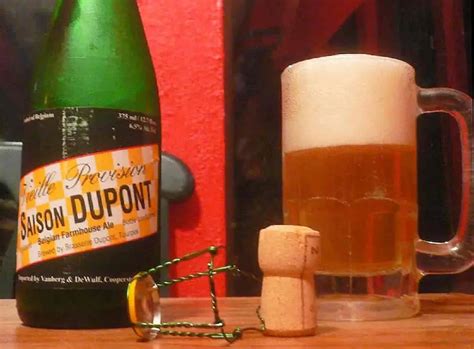 Beers Most Similar To Cider Best Beers For Cider Lovers ExpertBrewing Com