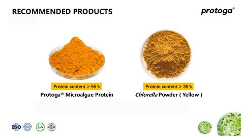 China Microalgae Protein 55 Manufacturer And Supplier Protoga