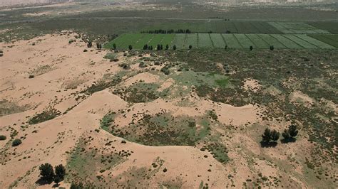Chinas Great Green Wall The Giant Artificial Forest Designed To Slow
