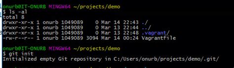Quick Start To Vagrant On Windows