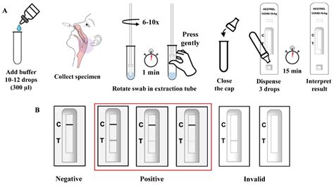 What Is A Diagnostic Antigen Test At Charles Kesteven Blog