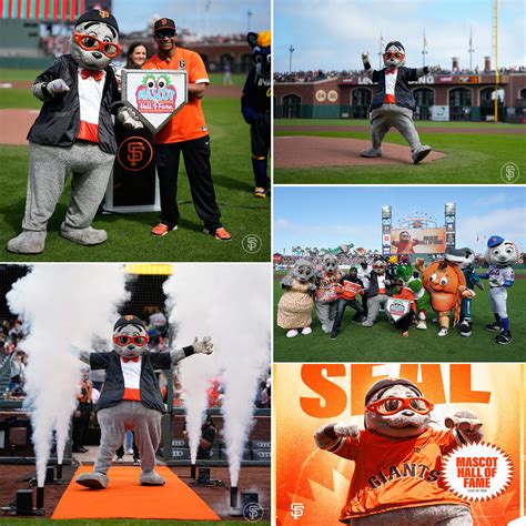 Giants Good News Nobody Saw This Coming Beloved San Francisco