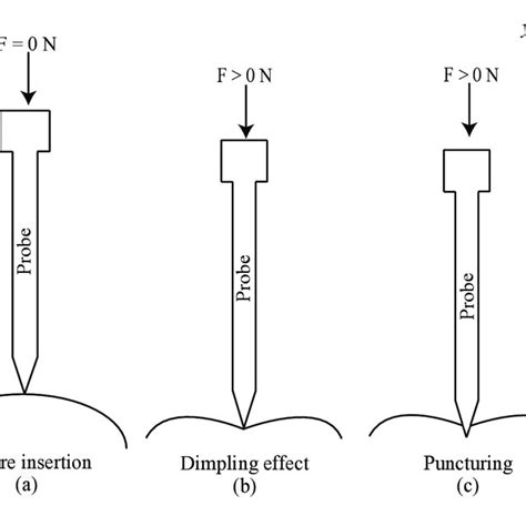 1 Dimpling Effect And Puncturing Of The Tissue Download Scientific