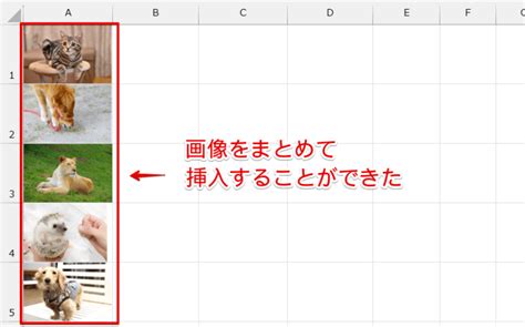 エクセルの画像を一括選択・全選択してまとめて操作する方法 エクセルの画像を一括選択・全選択してまとめて操作する方法