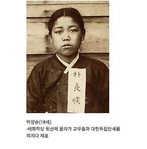 체포된 대들 사진 ㄷㄷ 포텐 터짐 최신순 에펨코리아