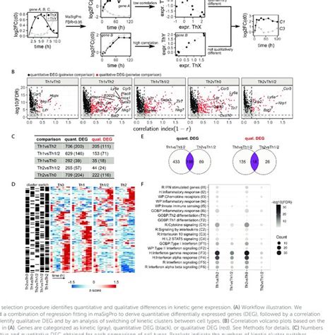 Early Th Cell Differentiation Features Three Major Patterns Of Kinetic