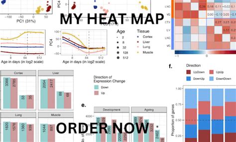 Create Annotated Heatmap In R Using Complexheatmap By Johnsonjamespro Fiverr