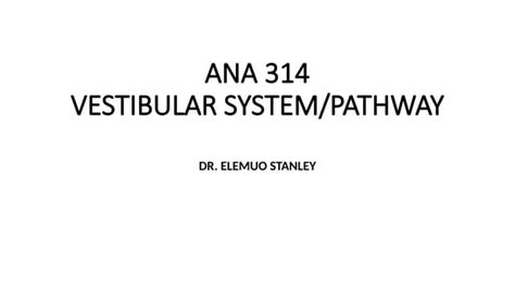 Vestibular Pathway Slide By Dr Stanley 1 Pptx