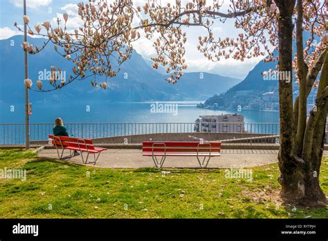 Girl Enjoying City View From A Bench Under The Magnolia Tree At The