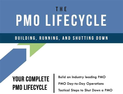 How To Calculate RAG Status In MS Project The PMO Professionals