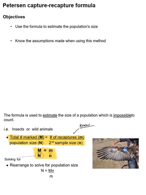 Chapter 15 Petersen Capture Recapture Method Pdf
