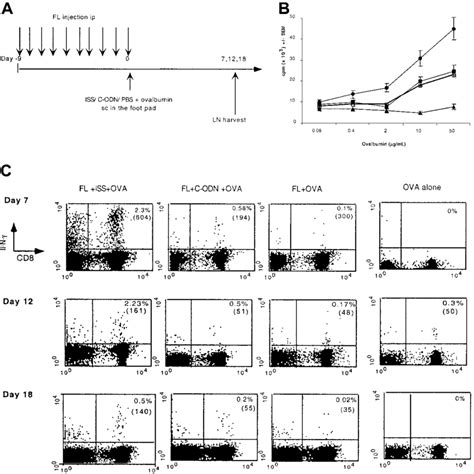 Iss Increases T Cell Priming In Fl Treated Mice A Experimental