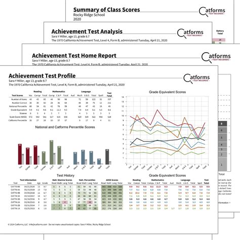 Reporting Options Catforms Llc