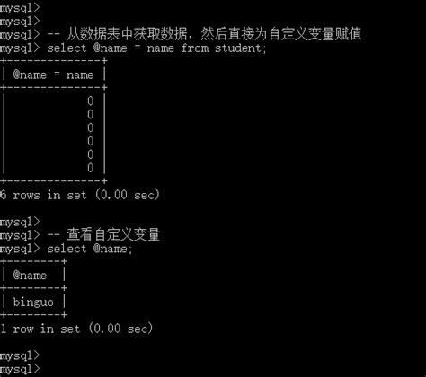 史上最简单的 mysql 教程（三十一）「数据库变量」 数据库的变量 csdn博客