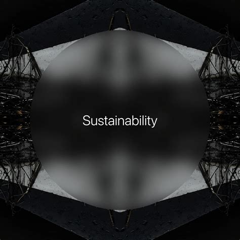 Sustainability → Term