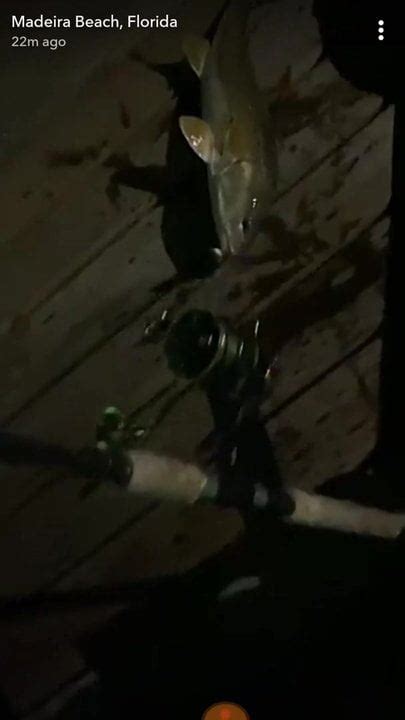 Desnudos Encontrados En Snapmaps 13 Xhamster