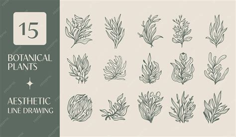 Plante Abstraite Botanique Fleur Dessin Au Trait Dessin Au Trait