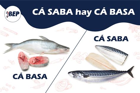 Đừng Nhầm Lẫn Cá Saba Và Cá Baba Cá Nào Tốt Hơn Ibep Thực Phẩm