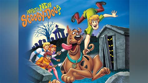 Scooby Doo Leirskrekk Whats New Scooby Doo Block Long Hong Kong