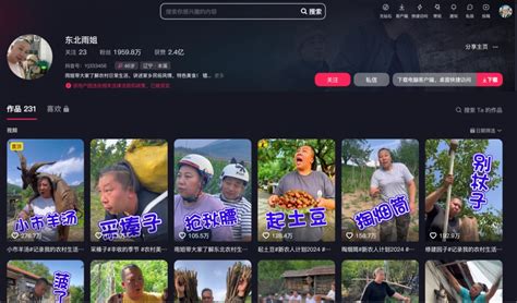 幻想能够再次重生的东北雨姐，开启了 全国投胎”之旅3dm专栏