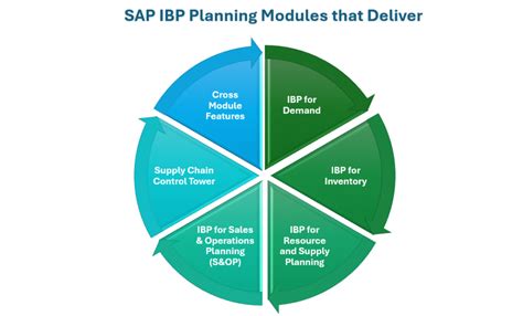 Mastering Sap Ibp Planning For Smart And Resilient Supply Chain