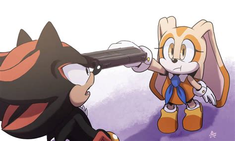 Cream The Rabbit And Shadow The Hedgehog