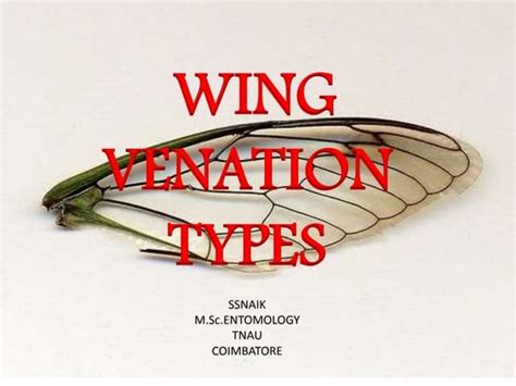 Insect Wing Venation And Its Modification Drsunil Prajapati Pptx