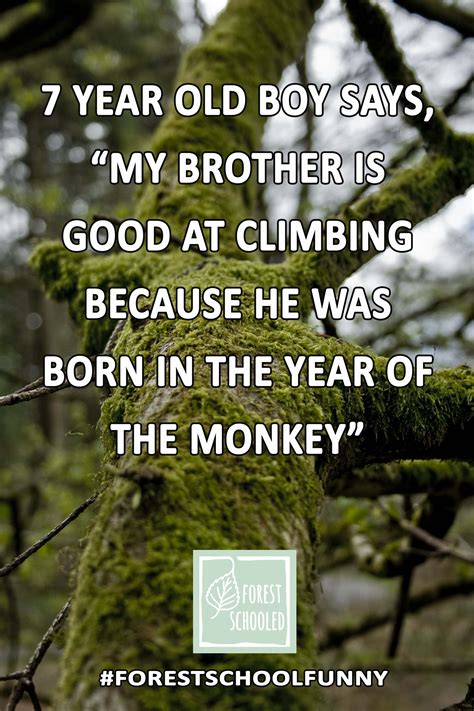 Forest Schooled Forest School Funnies