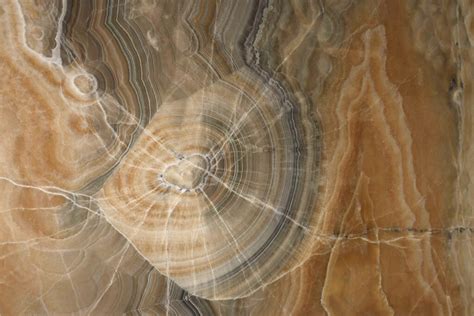 Calacatta Sofia Marble Exotic Stone