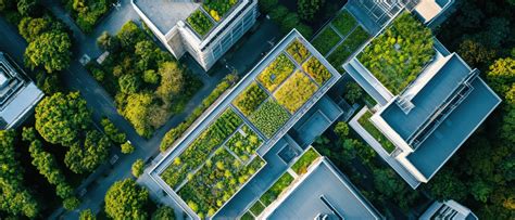 District Heating And Cooling Solutions Sustainable Energy Networks Carrier United Kingdom