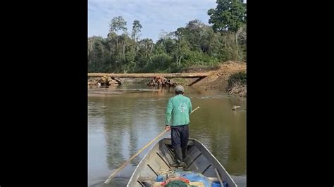 ‘theyre In Danger Isolated Amazon Tribe Mashco Piro Enters Another