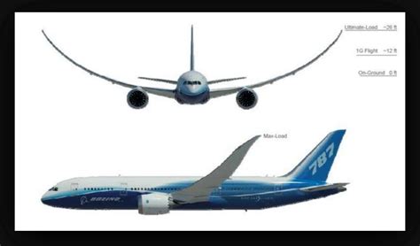 How Big Is An Airplane Wing At Jeanette Taylor Blog