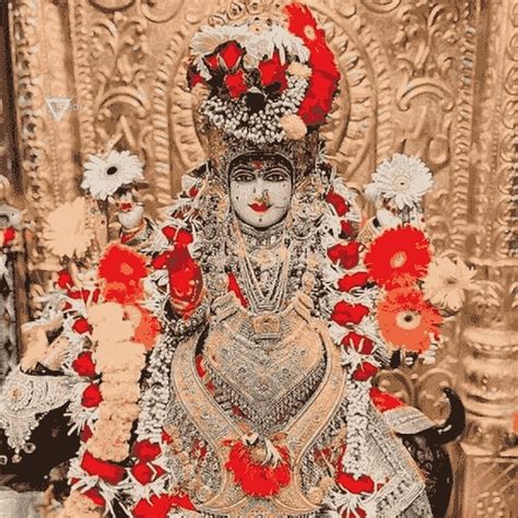 Mr Suresh Solanki Youtube