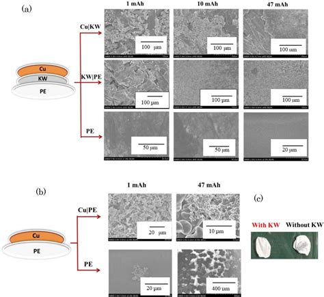 Dendrite‐free 3d Lithium Metal Anode Formed In A Cellulose Based