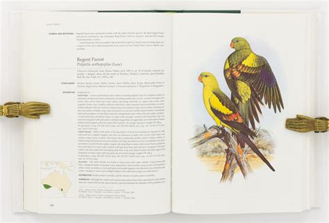 Australian Parrots Joseph M Forshaw William T Cooper 3rd Edition