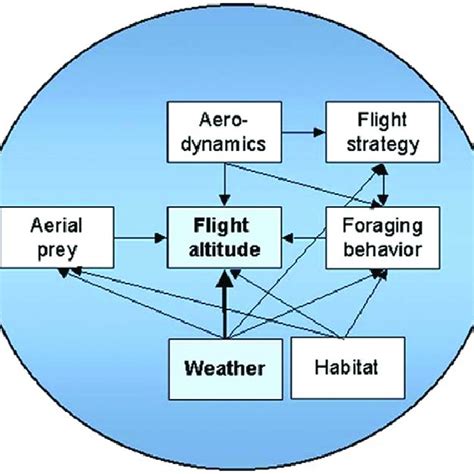 A Simplified Illustration Of Several Factors That May Influence The