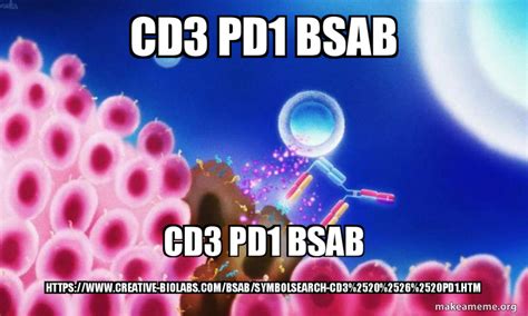 Cd3 Pd1 Bsab Cd3 Pd1 Bsab Creative Bsab
