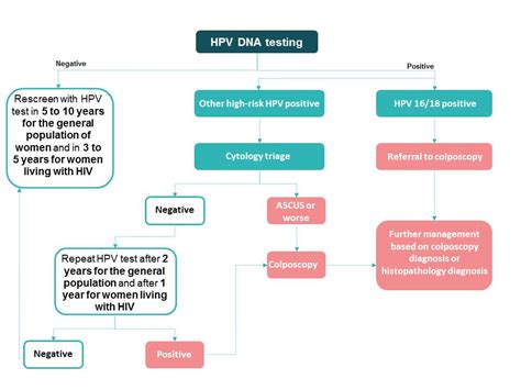 Using Human Papillomavirus Hpv Detection Tests For Cervical Cancer Screening And Managing Hpv