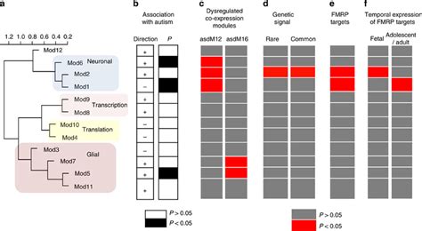 Weighted Gene Correlation Network Analysis Identifies 12 Co Expression