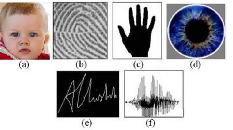 Figure 1 From Multimodal Authentication For High End Security Semantic Scholar