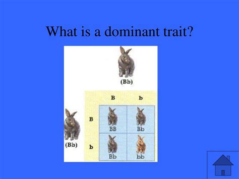 Ppt 200 Powerpoint Presentation Free Download Id4610910
