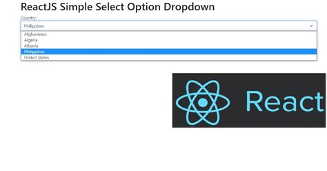reactjs simple select option dropdown tutorial101