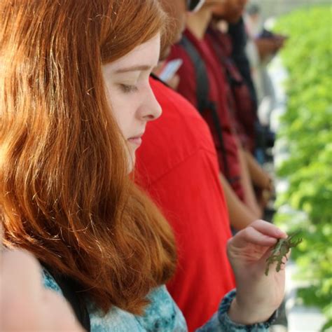 Anna Phillips Unc Center For Global Initiatives