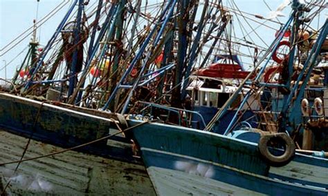 Le Nouveau Port De Pêche De Casablanca Livré Le Matinma