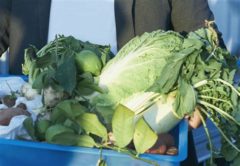 [exclusive For Etajimasou Guests] A Gourmet Hunting Tour To Discover