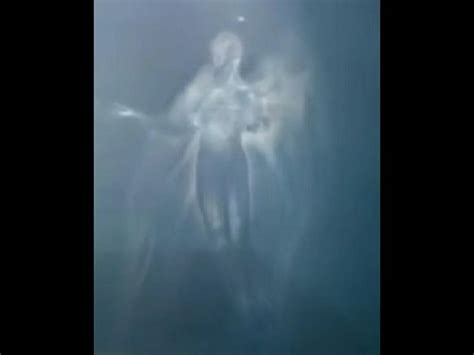 You Are My Witnesses Reduplicated Princes The Time Is Fulfilled Level