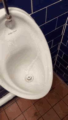 Woman Pissing In Urinal S Tenor